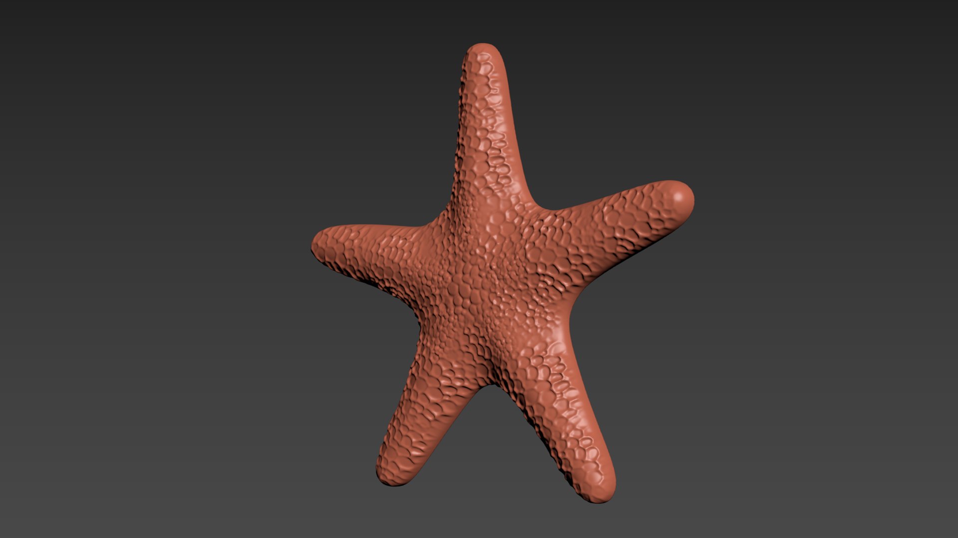 Starfish Echinoderm Sea Star 3D Model - TurboSquid 2384329