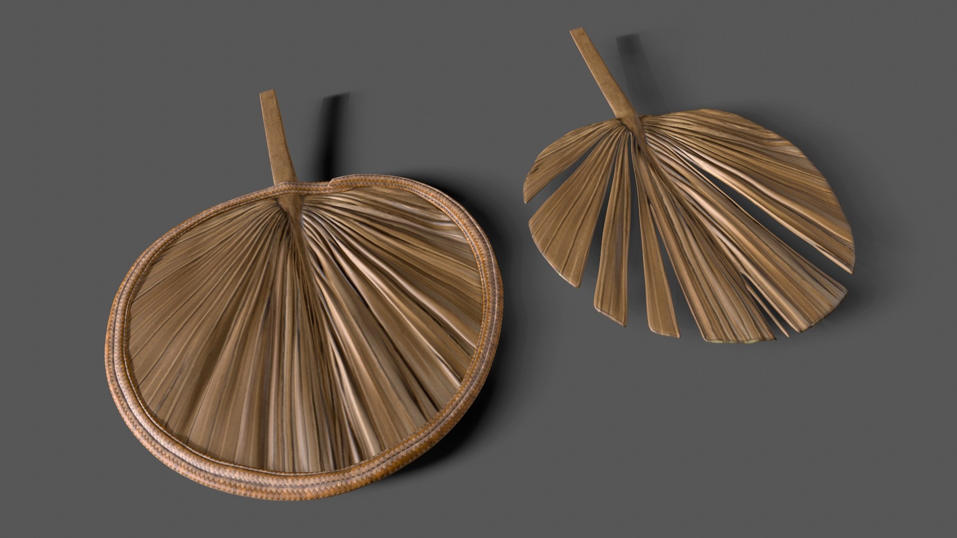 3D Cattail Leaf Fan - TurboSquid 2239972
