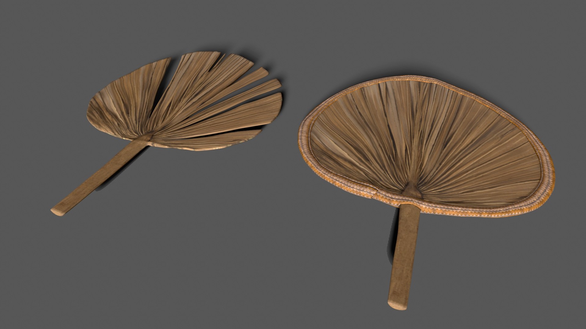 3D Cattail Leaf Fan - TurboSquid 2239972