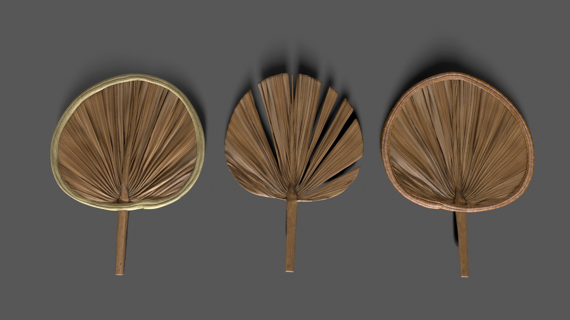 3D Cattail Leaf Fan - TurboSquid 2239972