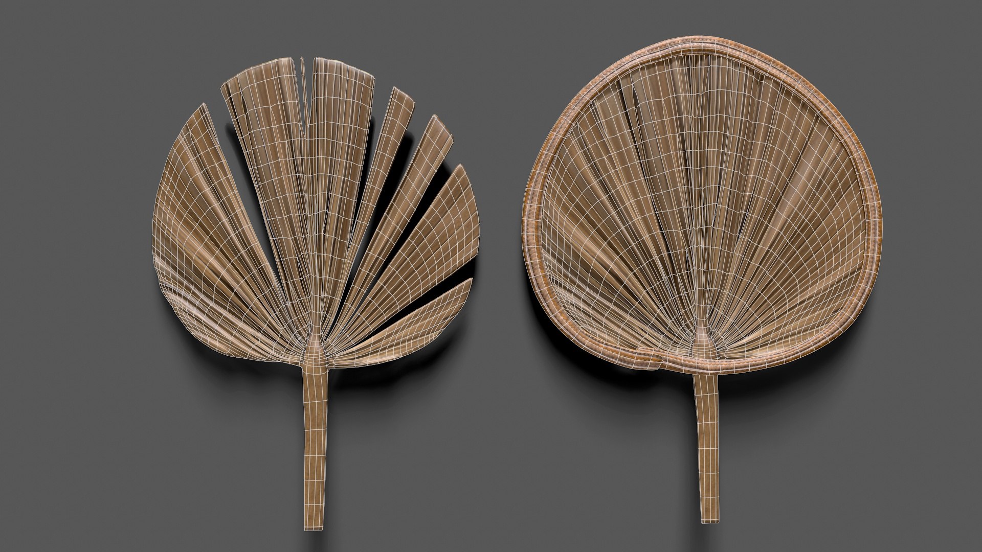3D Cattail Leaf Fan - TurboSquid 2239972