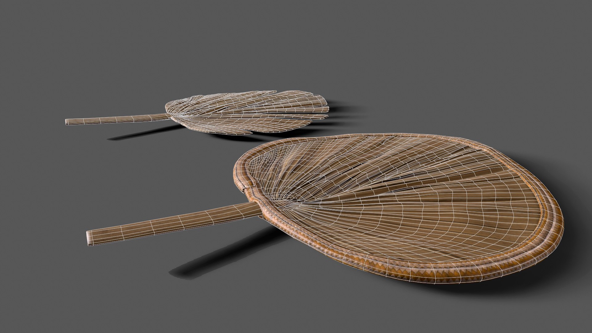 3D Cattail Leaf Fan - TurboSquid 2239972