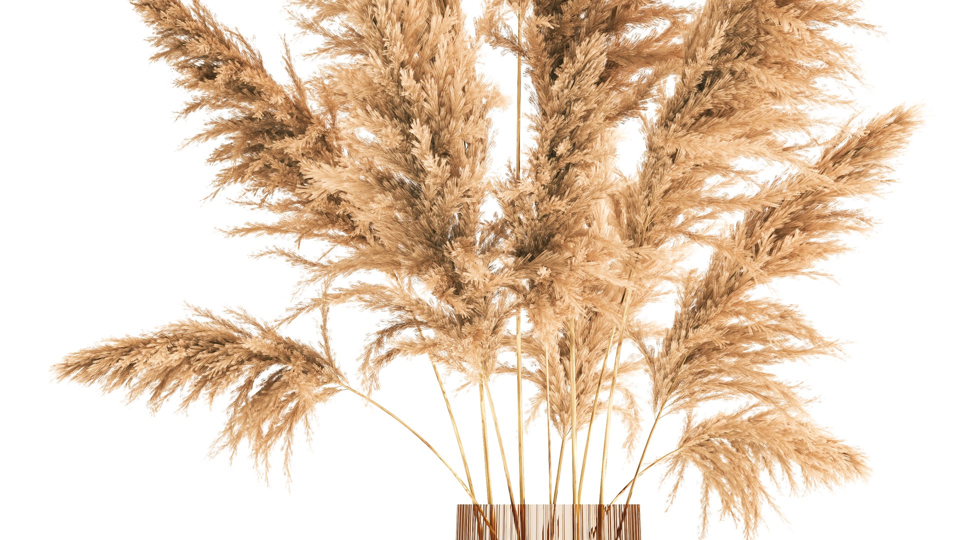 3D Bouquet Of Dried Reeds In A Vase 121 Model - TurboSquid 1765797