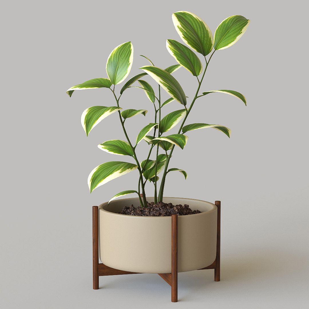 Plant Pot 3D - TurboSquid 1178941