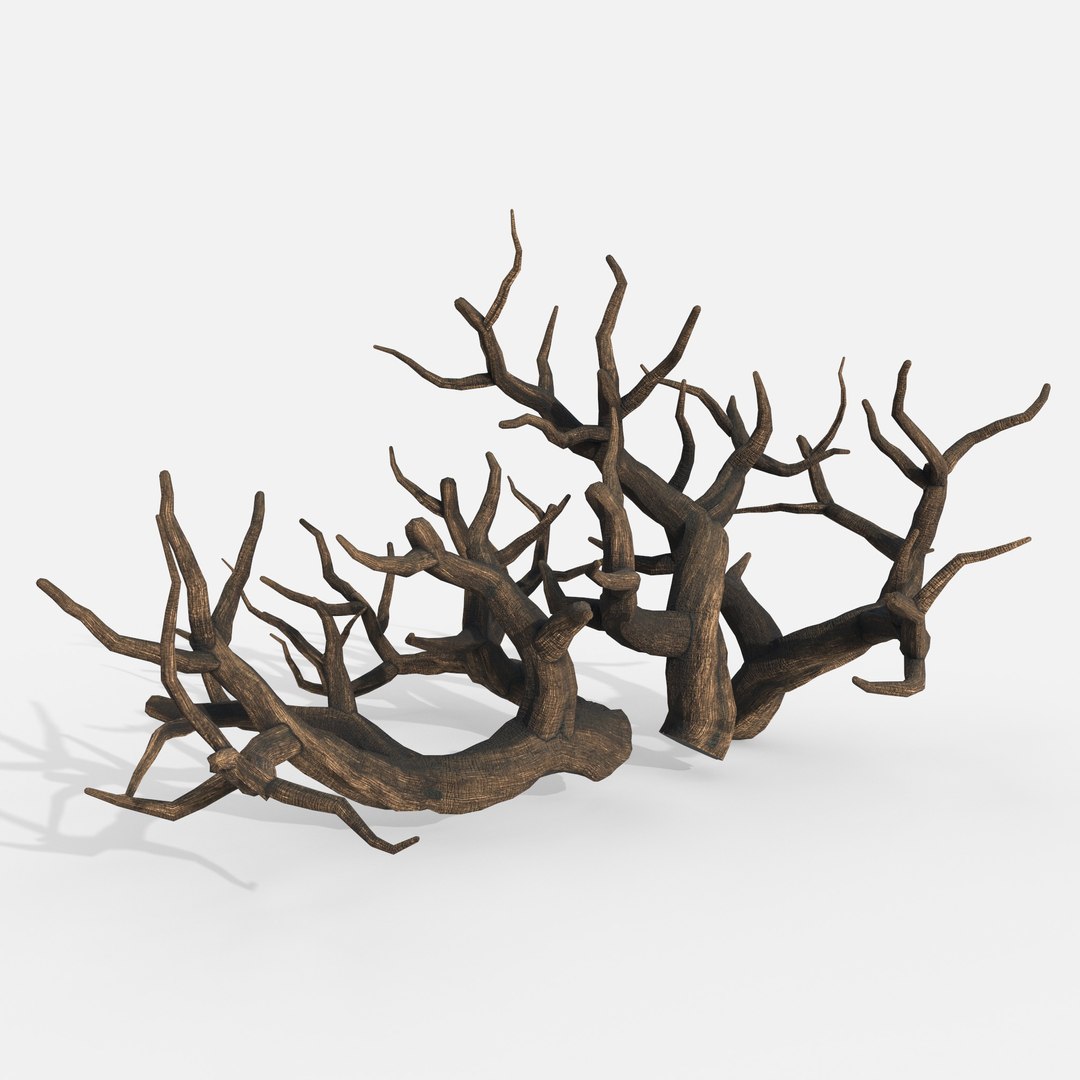 Aquarium Snag Set Model - TurboSquid 2389144