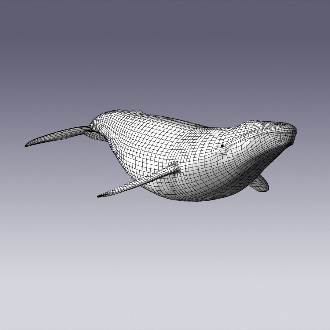 3d Model Gray Animation