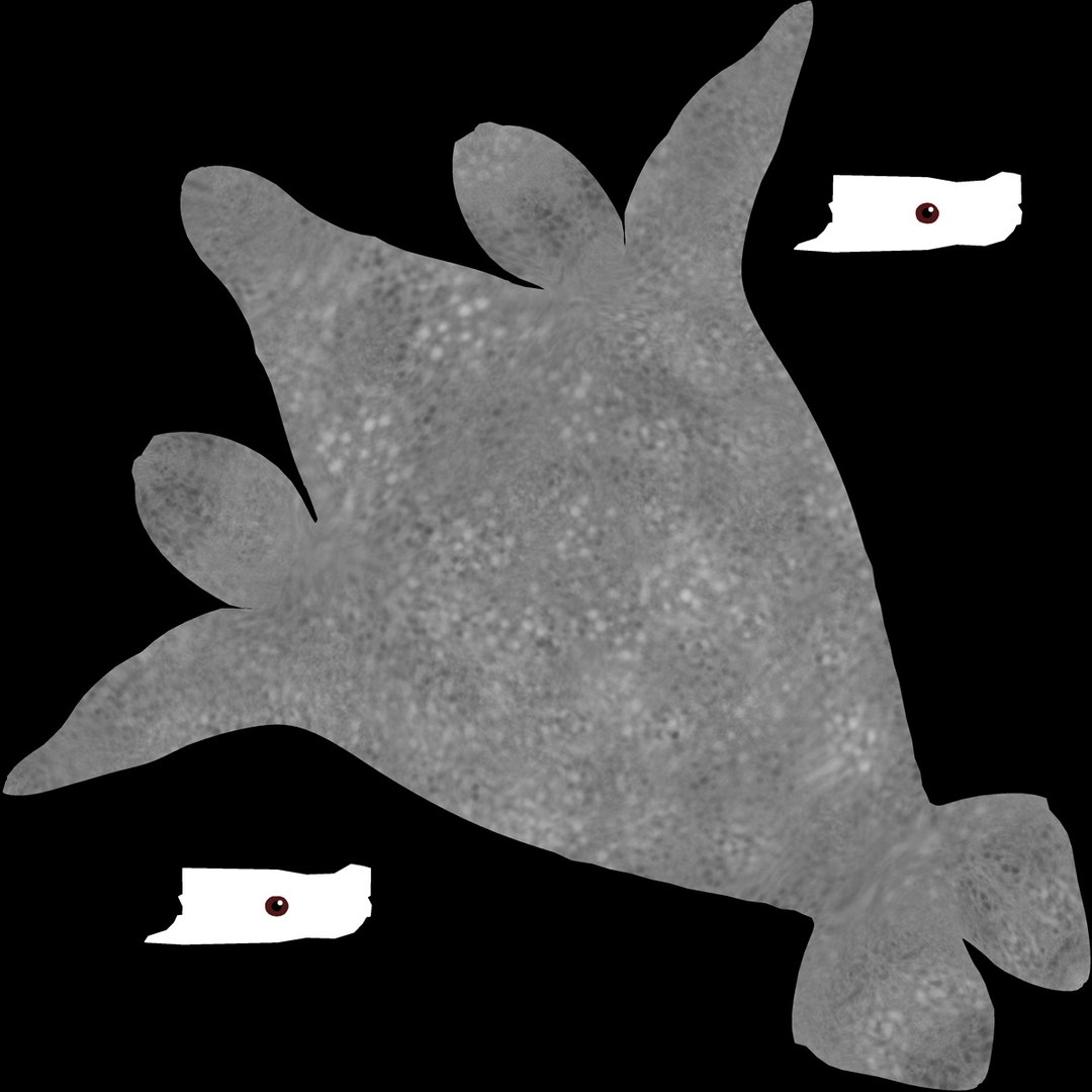 3d Model Gray Animation