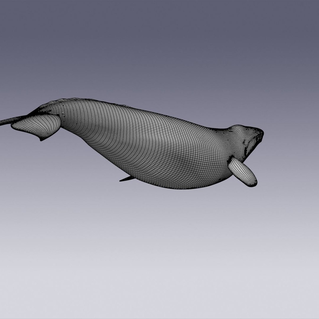 3d Model Gray Animation