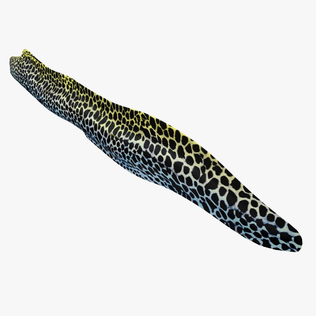 3D sea-life sea model - TurboSquid 1229909