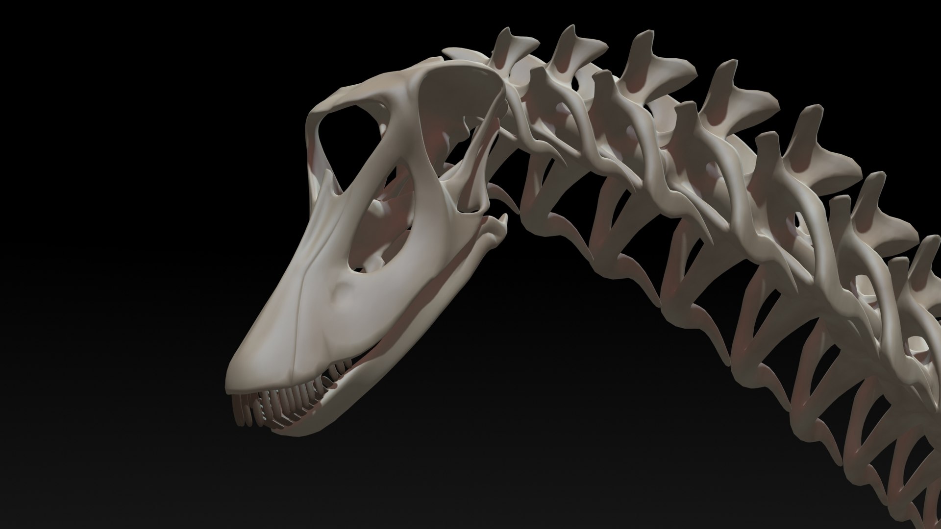 3D diplodocus skeleton - TurboSquid 1228784