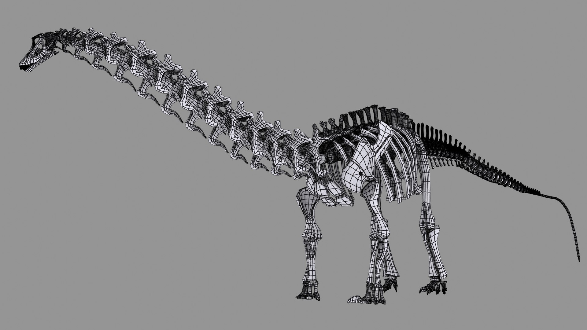 3D diplodocus skeleton - TurboSquid 1228784