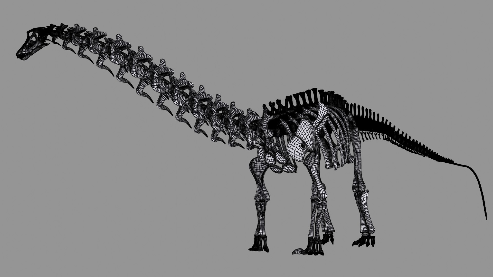 3D diplodocus skeleton - TurboSquid 1228784