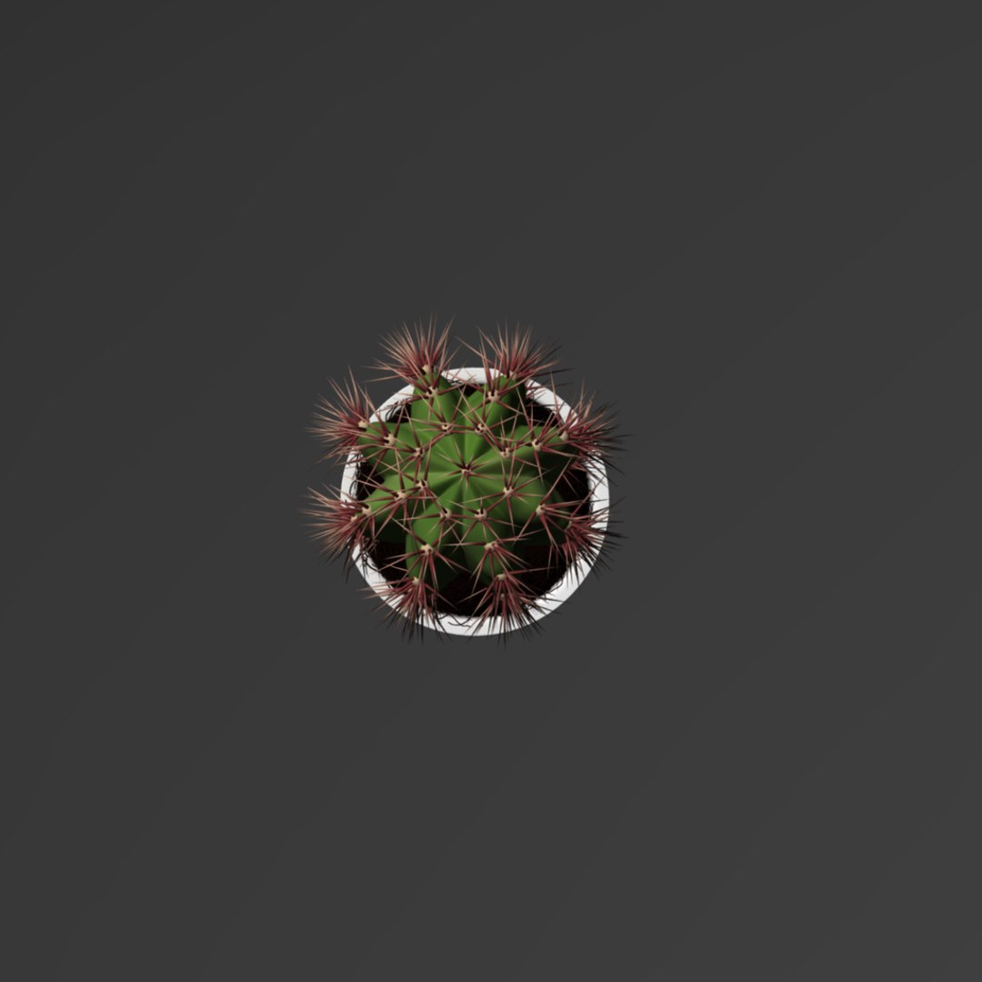 Cactus Houseplant 3d Model