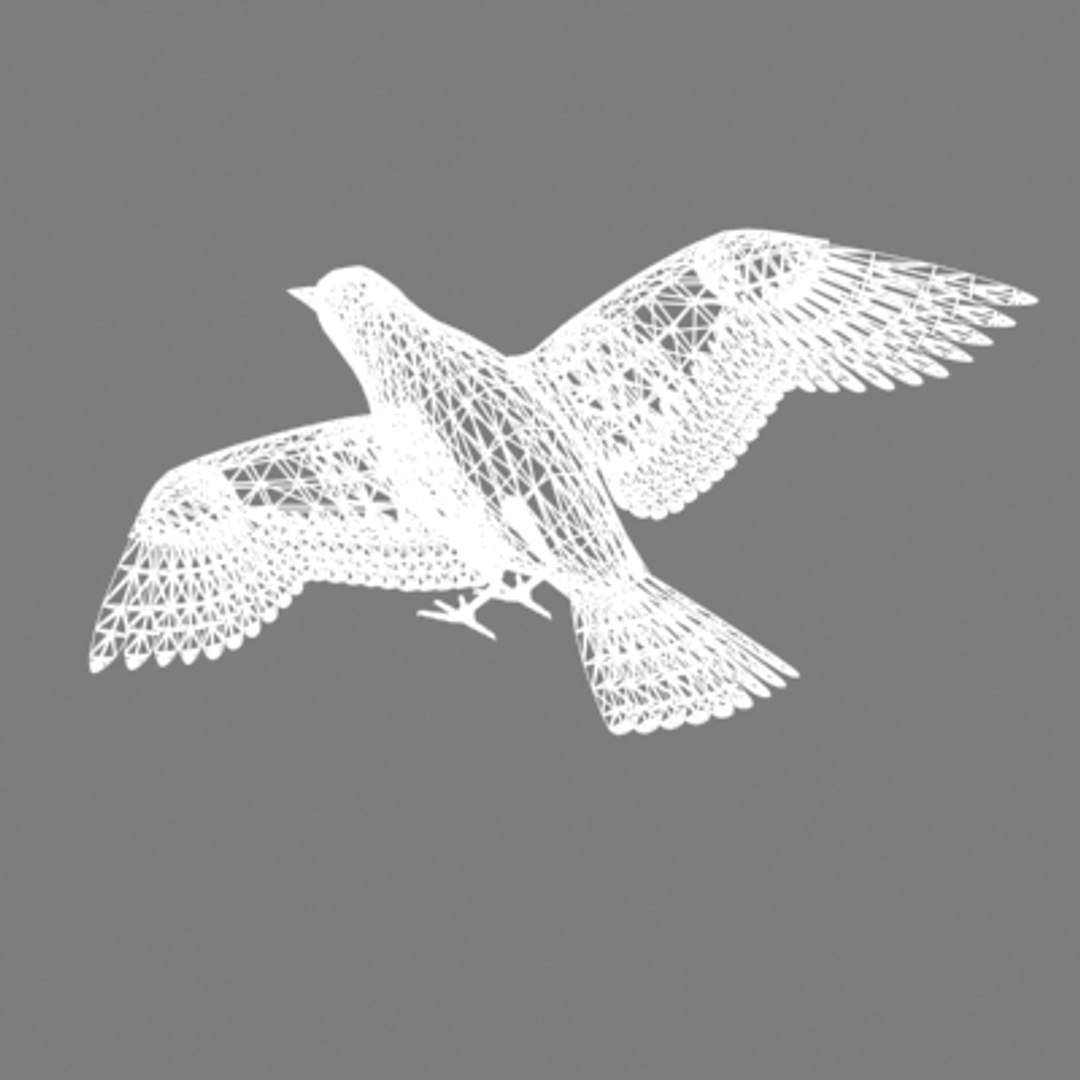 imagination pigeon 3d model