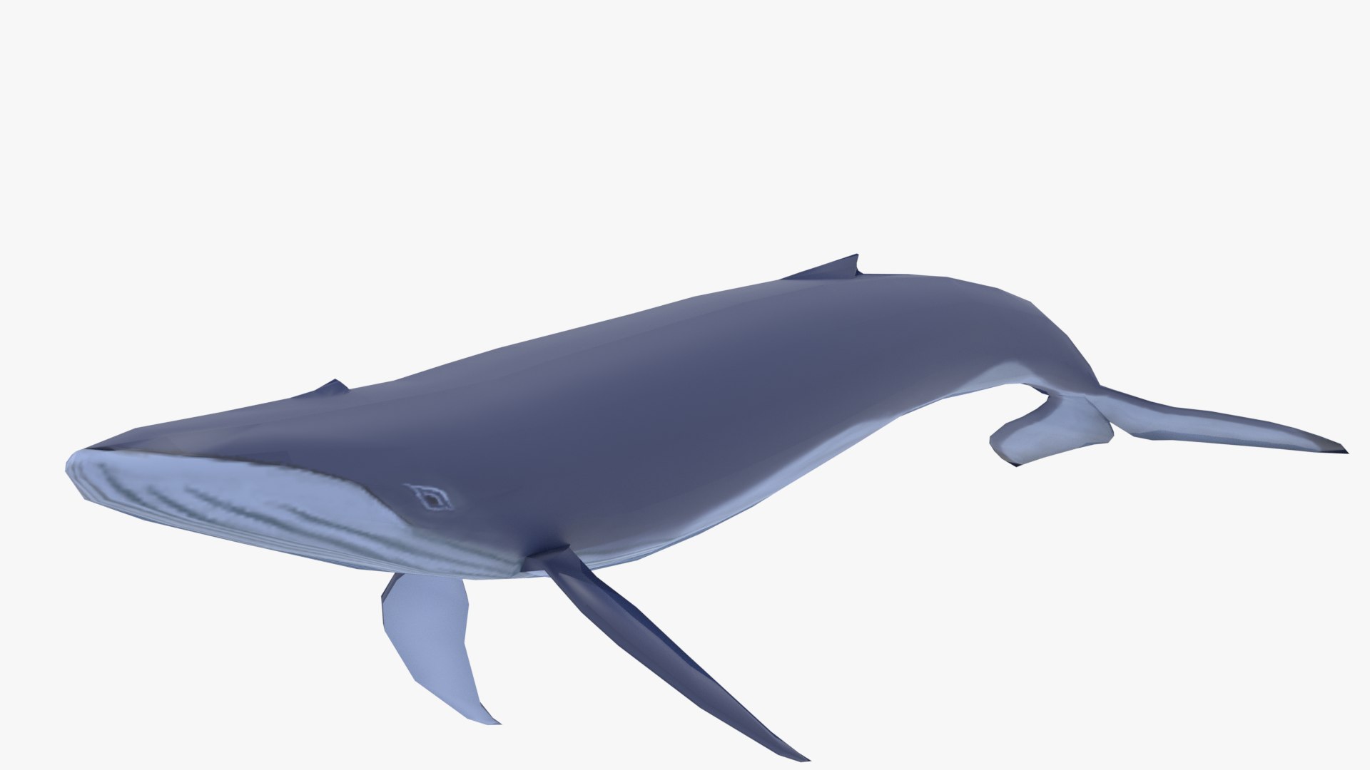 3D model blue whale - TurboSquid 2095218