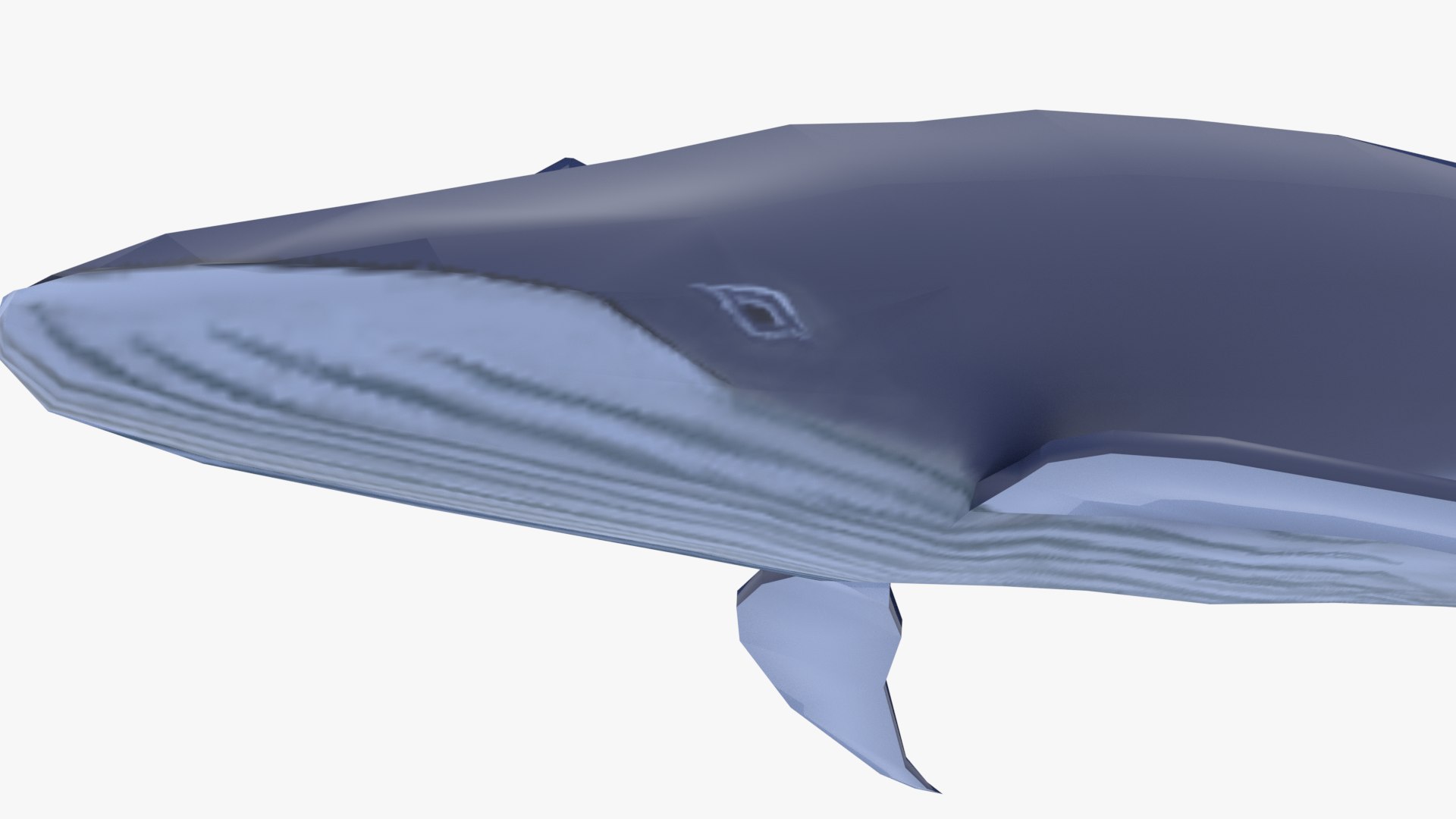 3D model blue whale - TurboSquid 2095218