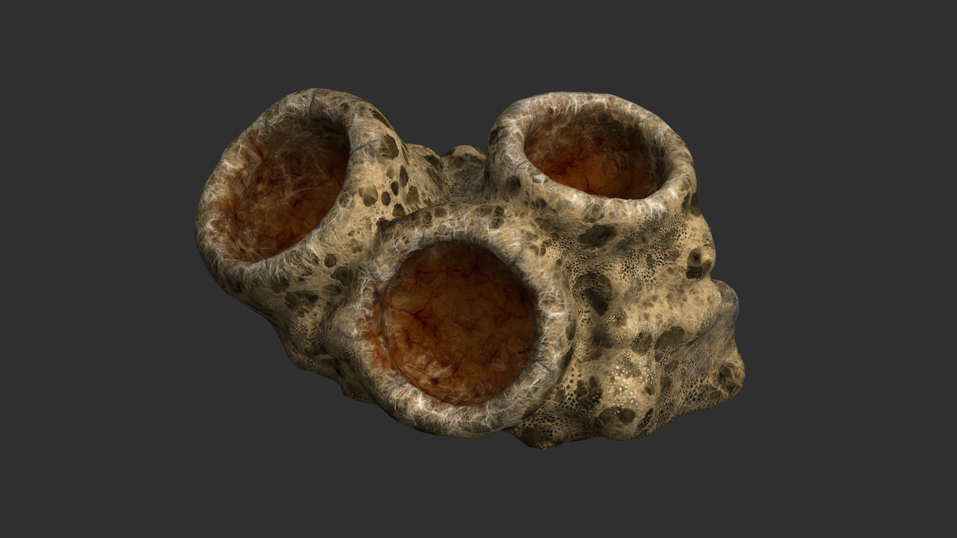 Free Spider Rock 02 Model - TurboSquid 1915731