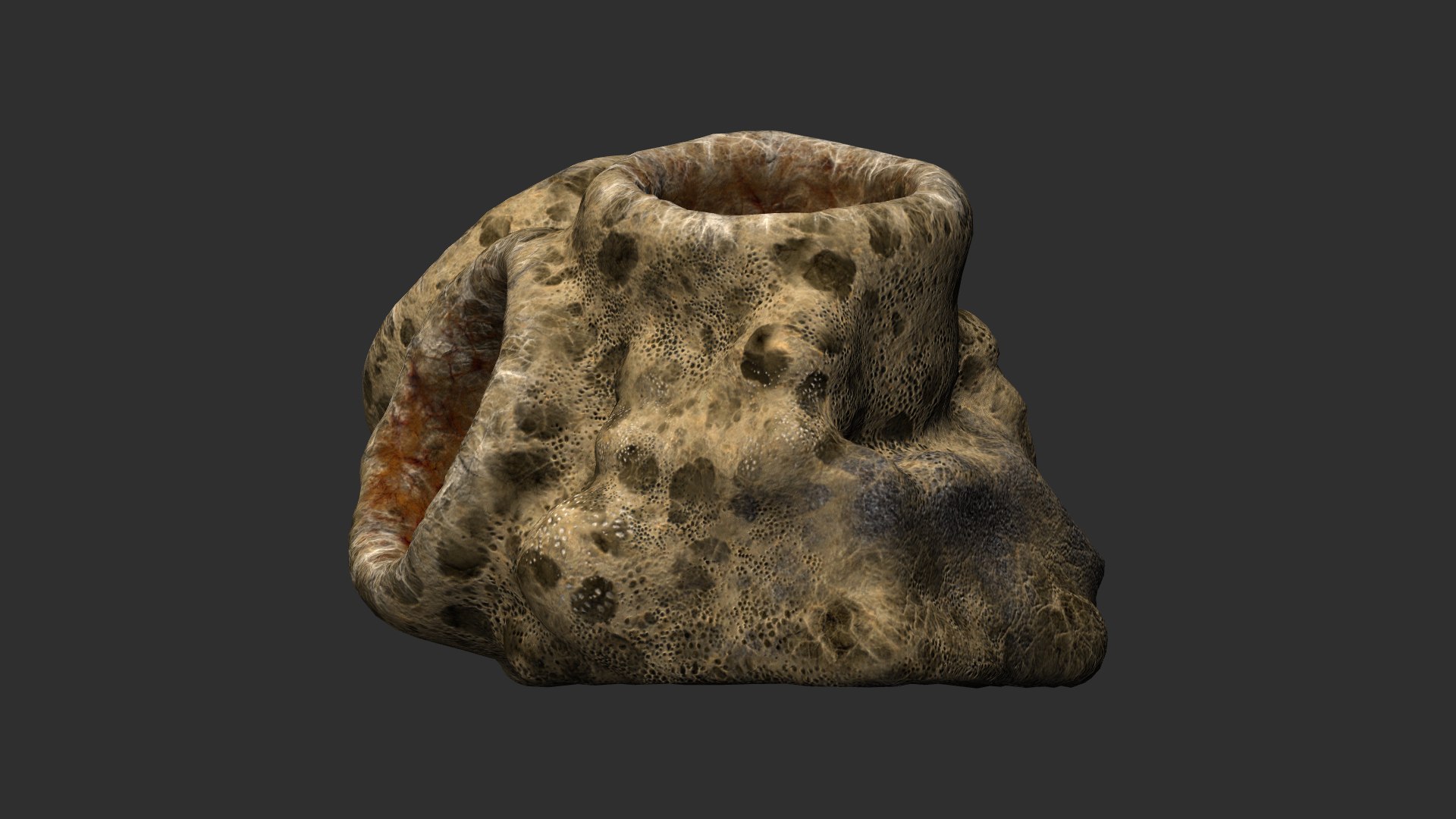 Free Spider Rock 02 Model - TurboSquid 1915731