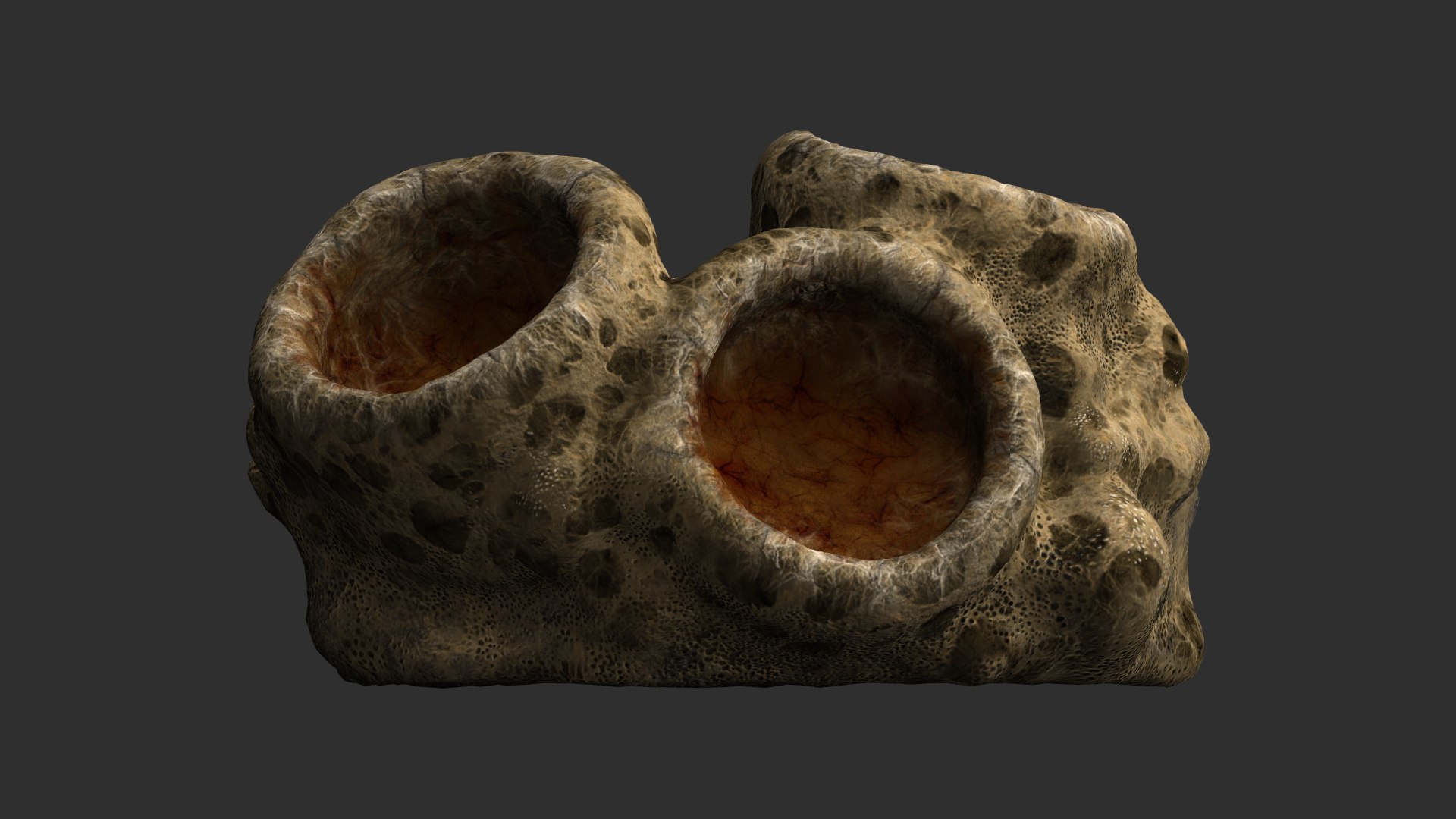 Free Spider Rock 02 Model - TurboSquid 1915731