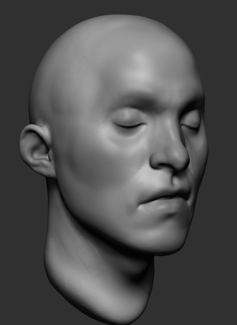 Free 3D Male Head Model - TurboSquid 1357522