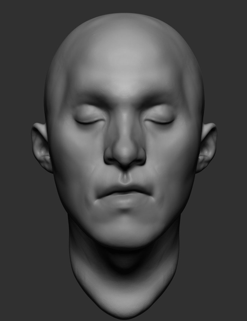 Free 3D Male Head Model - TurboSquid 1357522