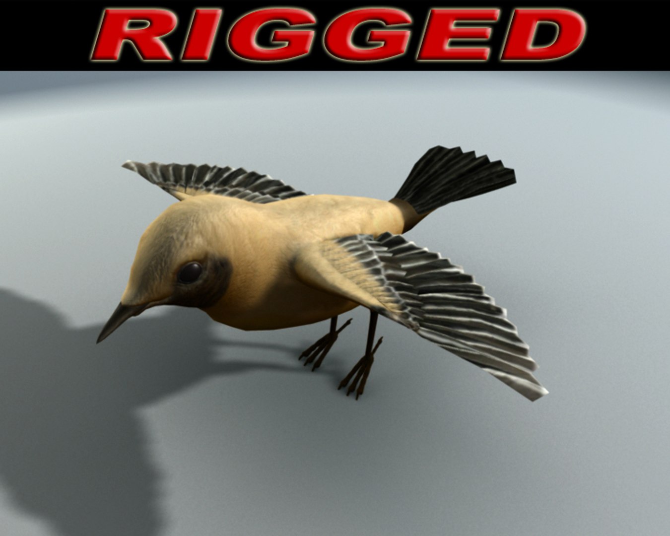 3d Model Desert Wheater Bird