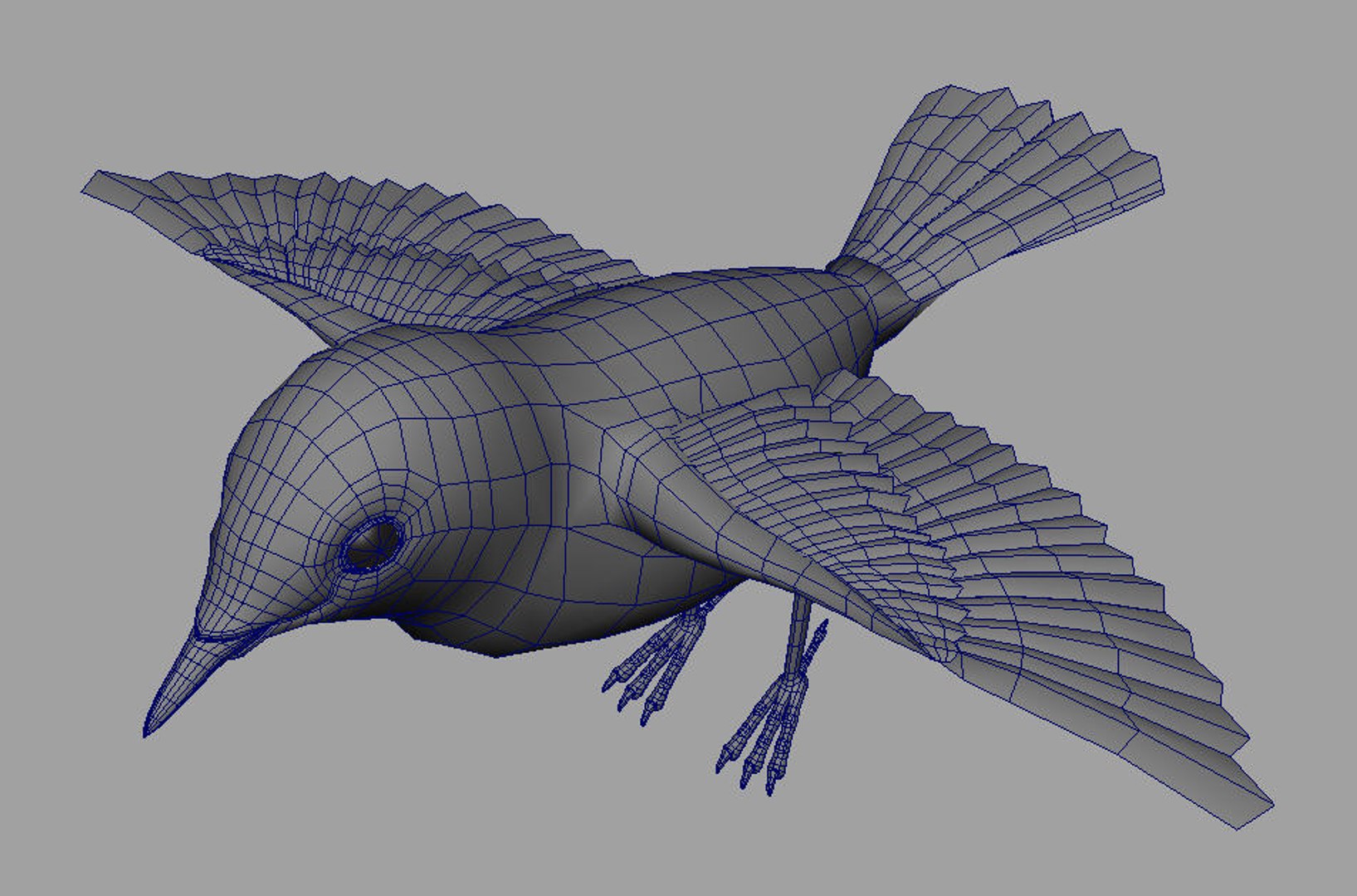 3d Model Desert Wheater Bird