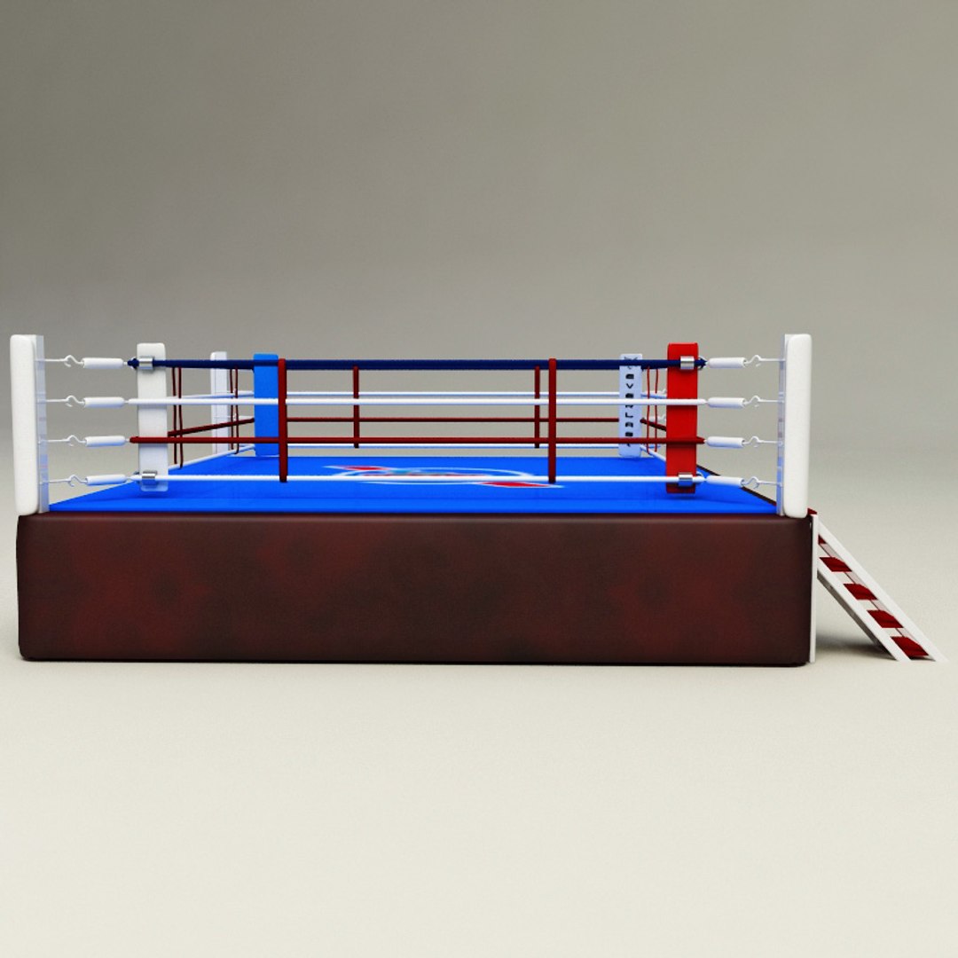 3ds Boxing Ring