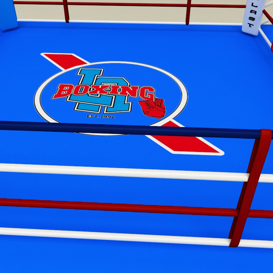 3ds Boxing Ring