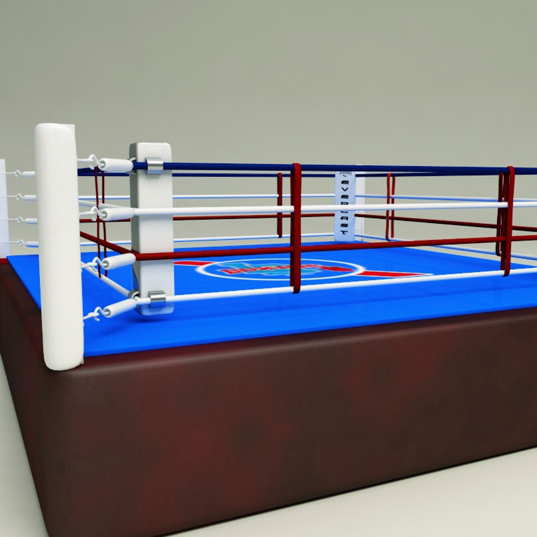 3ds Boxing Ring