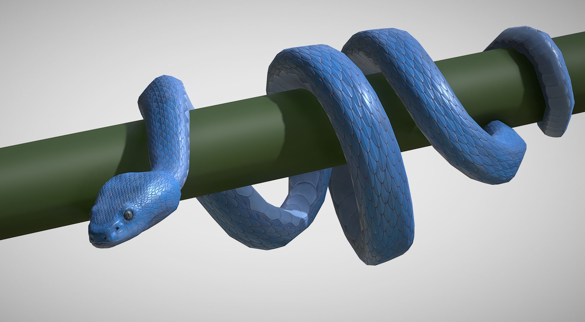 Snake - Blue Viper With Animations 3D - TurboSquid 1821417