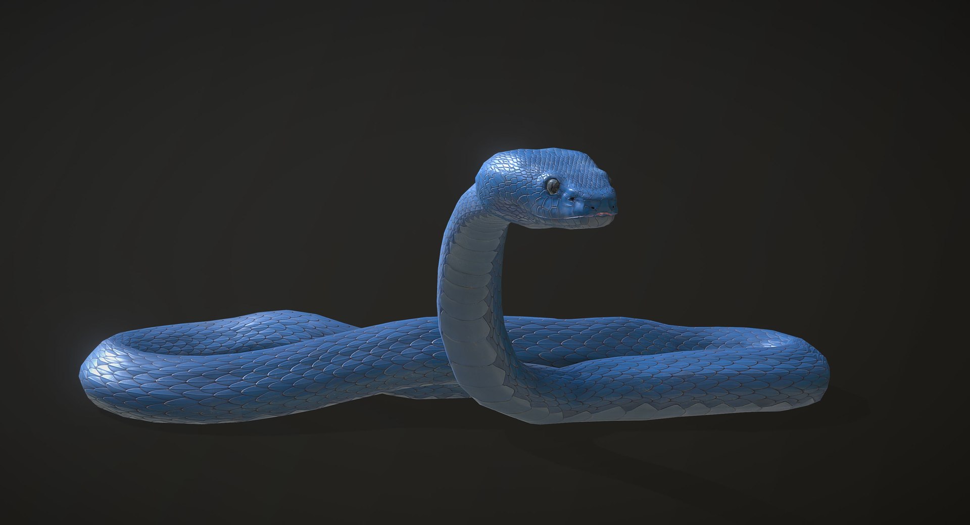 Snake - Blue Viper With Animations 3D - TurboSquid 1821417