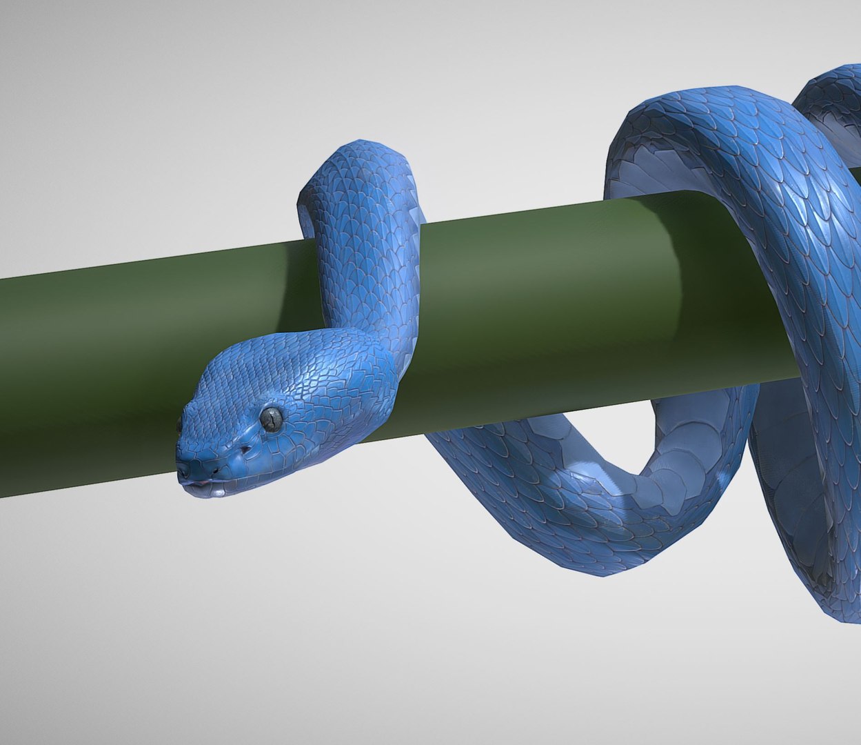 Snake - Blue Viper With Animations 3D - TurboSquid 1821417