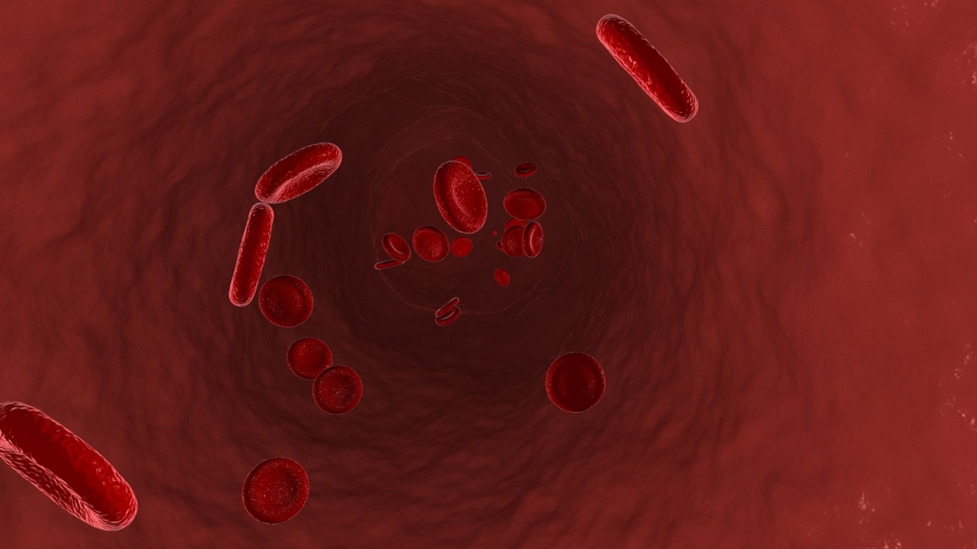 3d vein blood cells