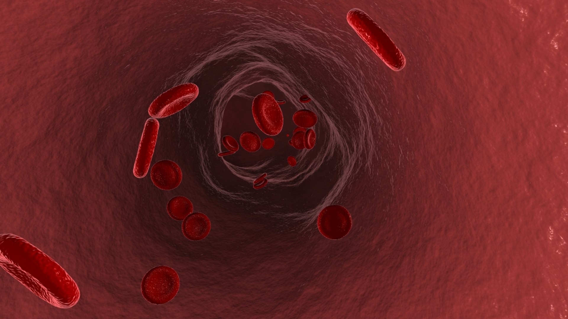 3d vein blood cells