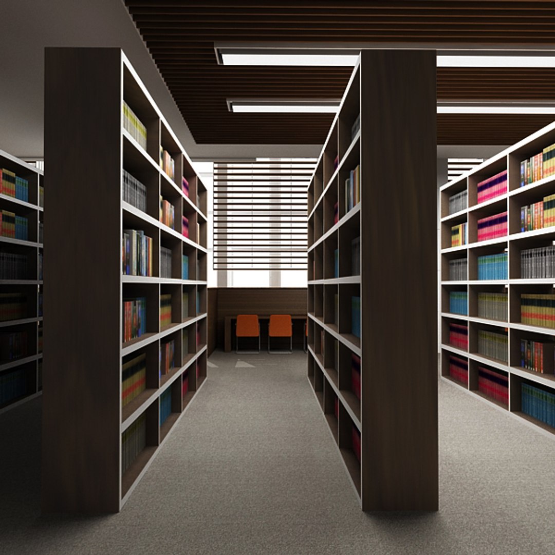 Library Version 3d Model