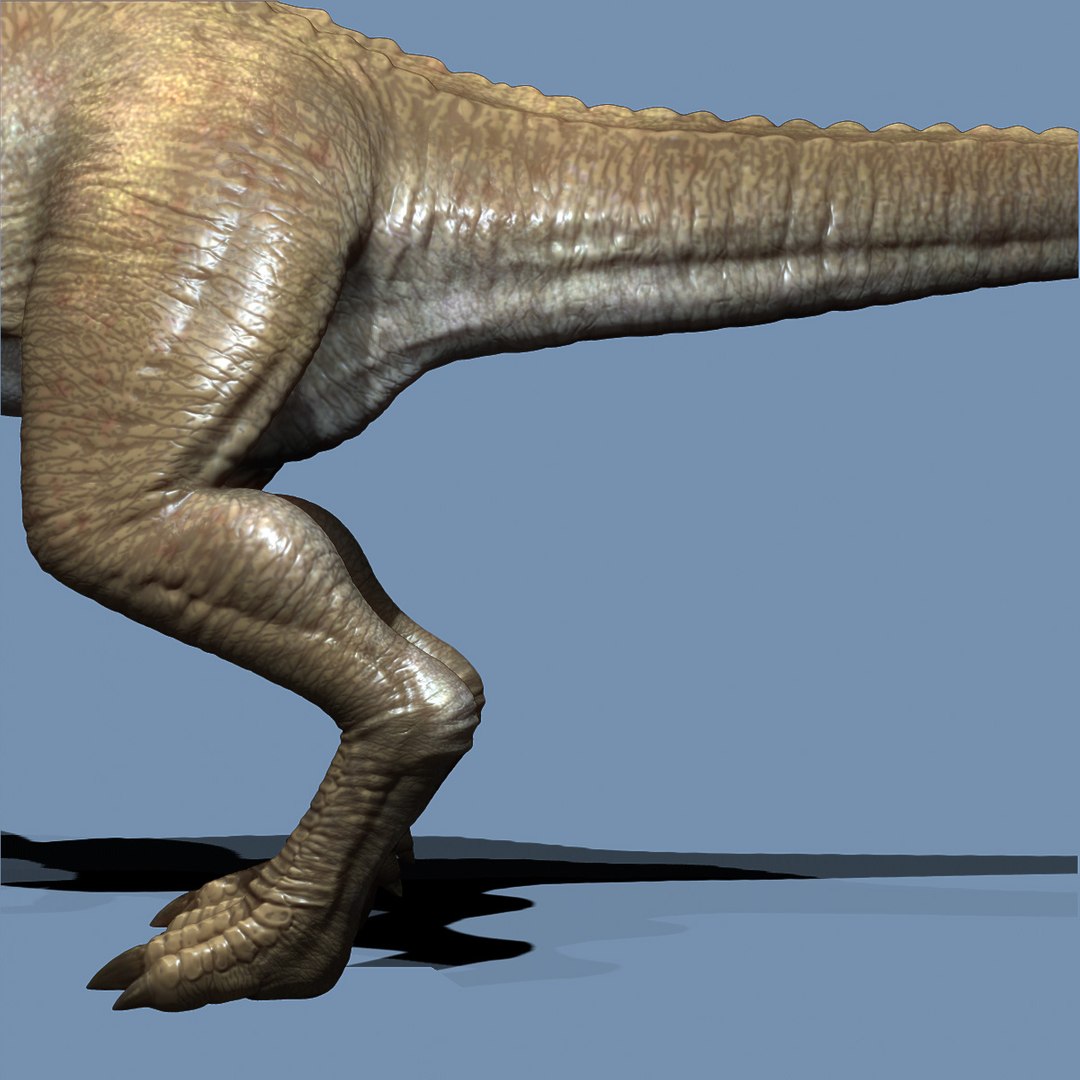 dino dinosaur allosaurus 3d model