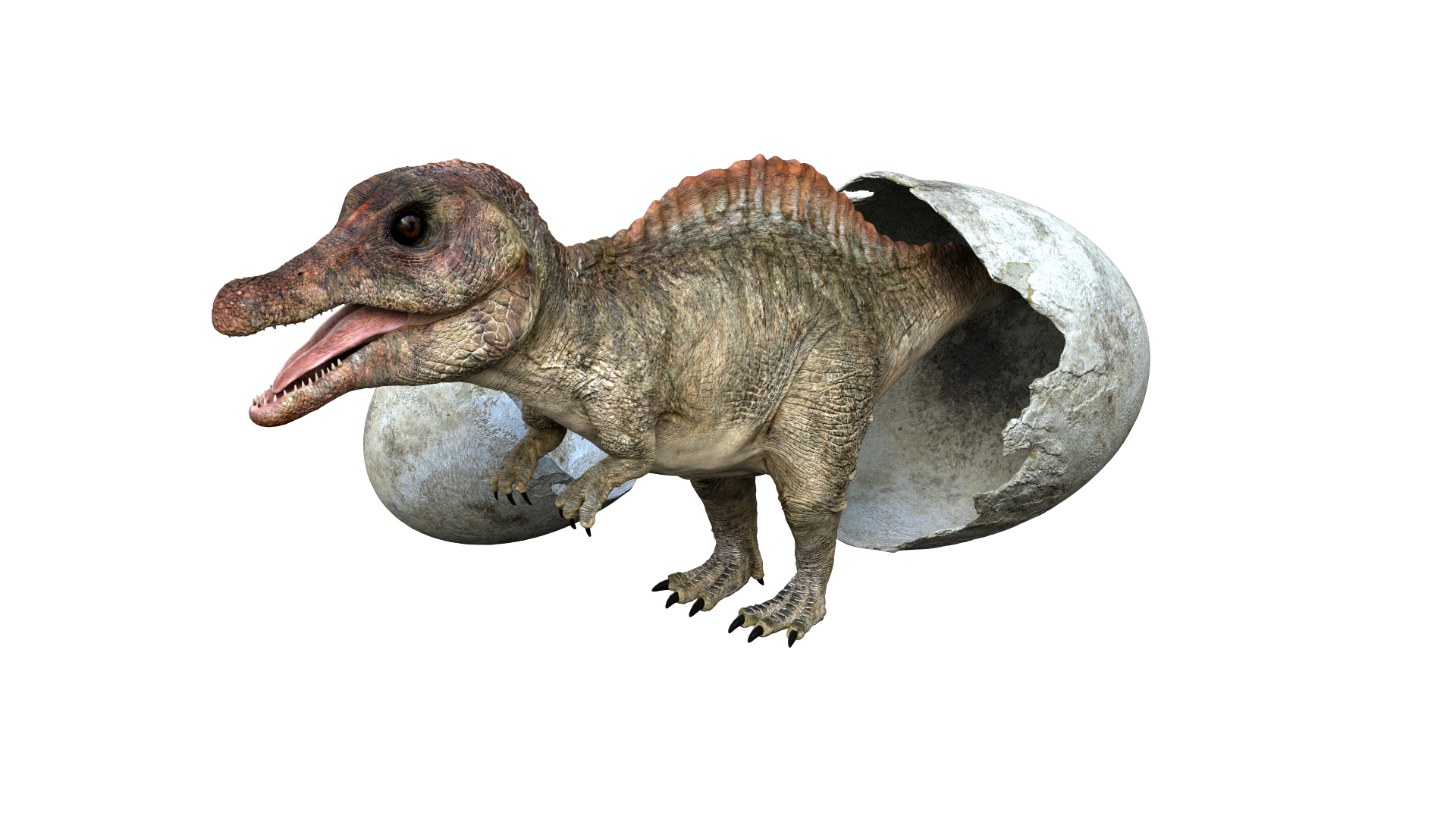 Realistic Dinosaur Rig 3D Model - TurboSquid 1492711