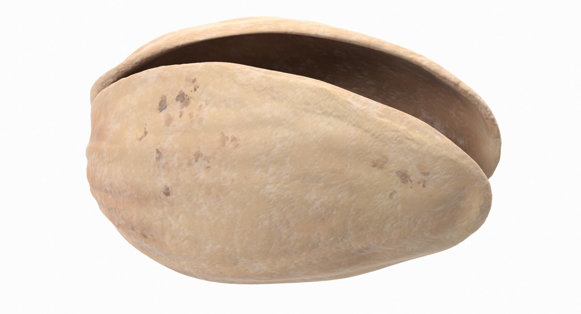 3D Model Pistachio Shell - TurboSquid 1429282
