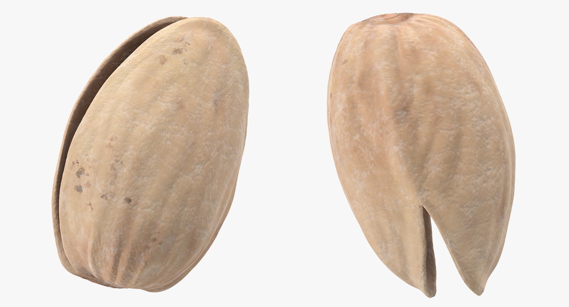 3D Model Pistachio Shell - TurboSquid 1429282