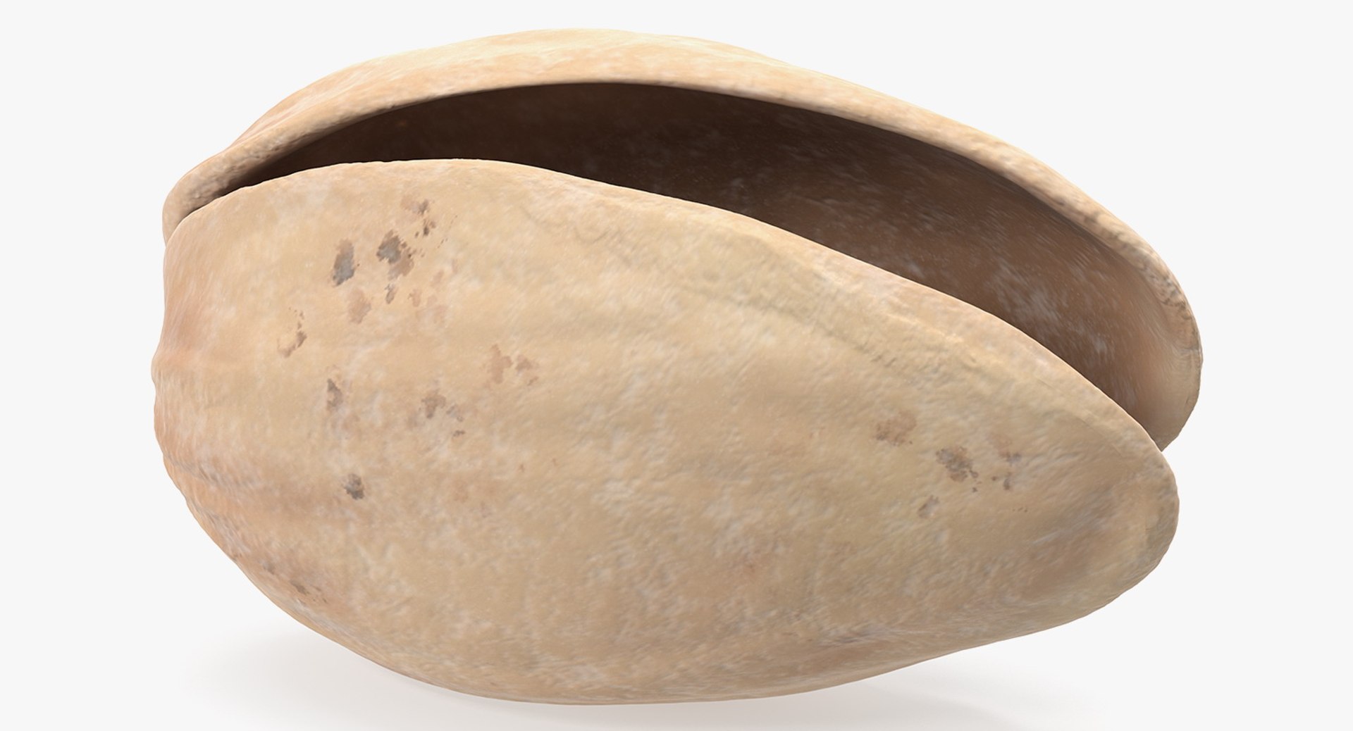 3D Model Pistachio Shell - TurboSquid 1429282
