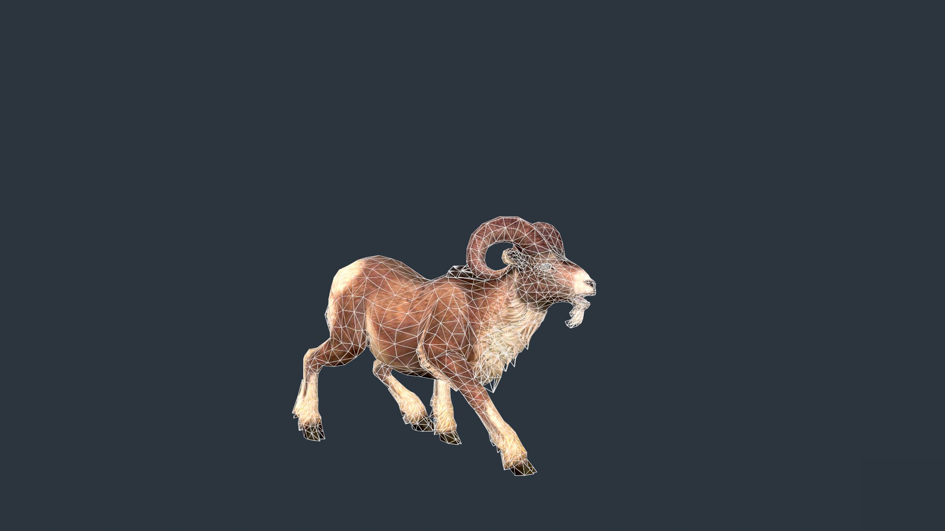 Realistic Goat Animation 3D Model - TurboSquid 1996469