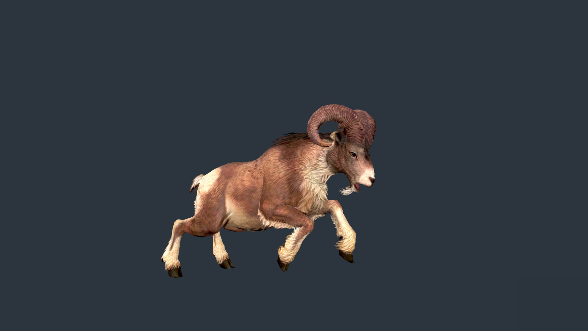 Realistic Goat Animation 3D Model - TurboSquid 1996469