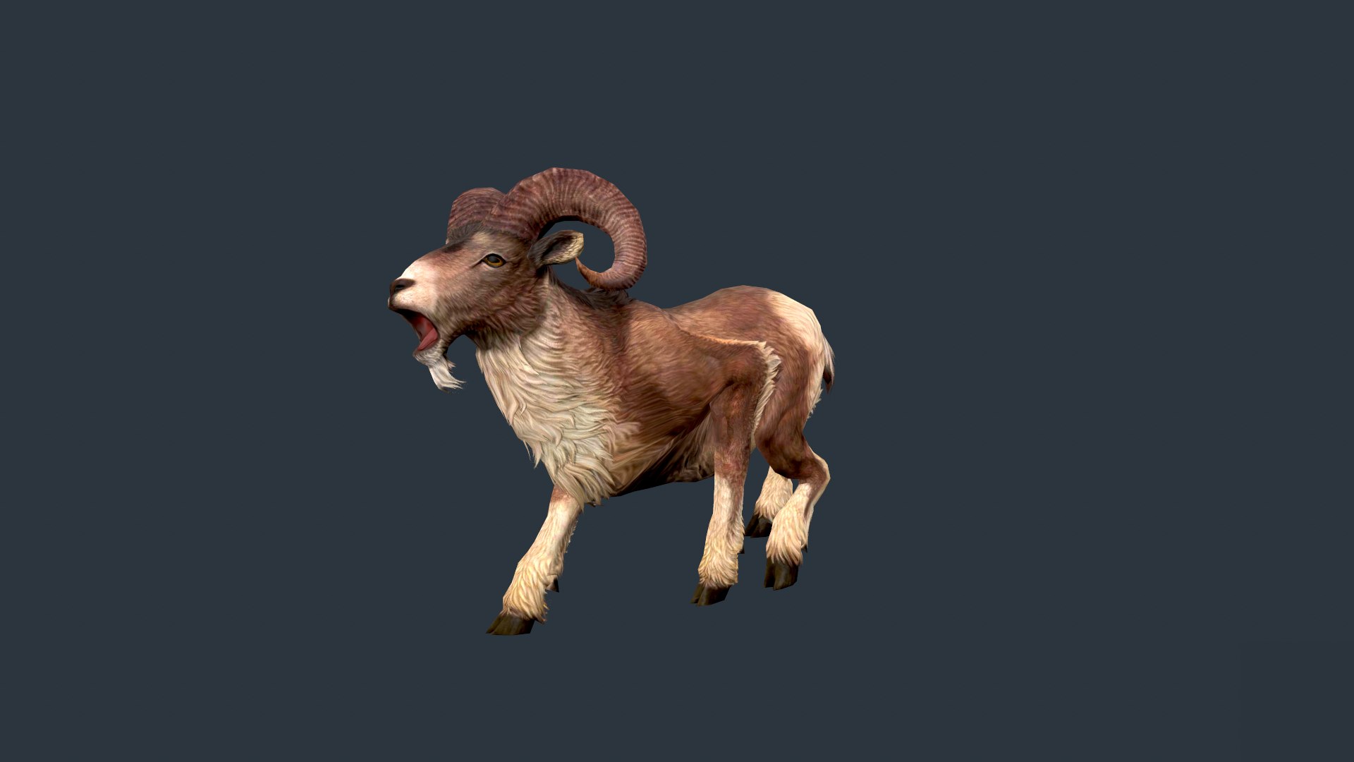Realistic Goat Animation 3D Model - TurboSquid 1996469