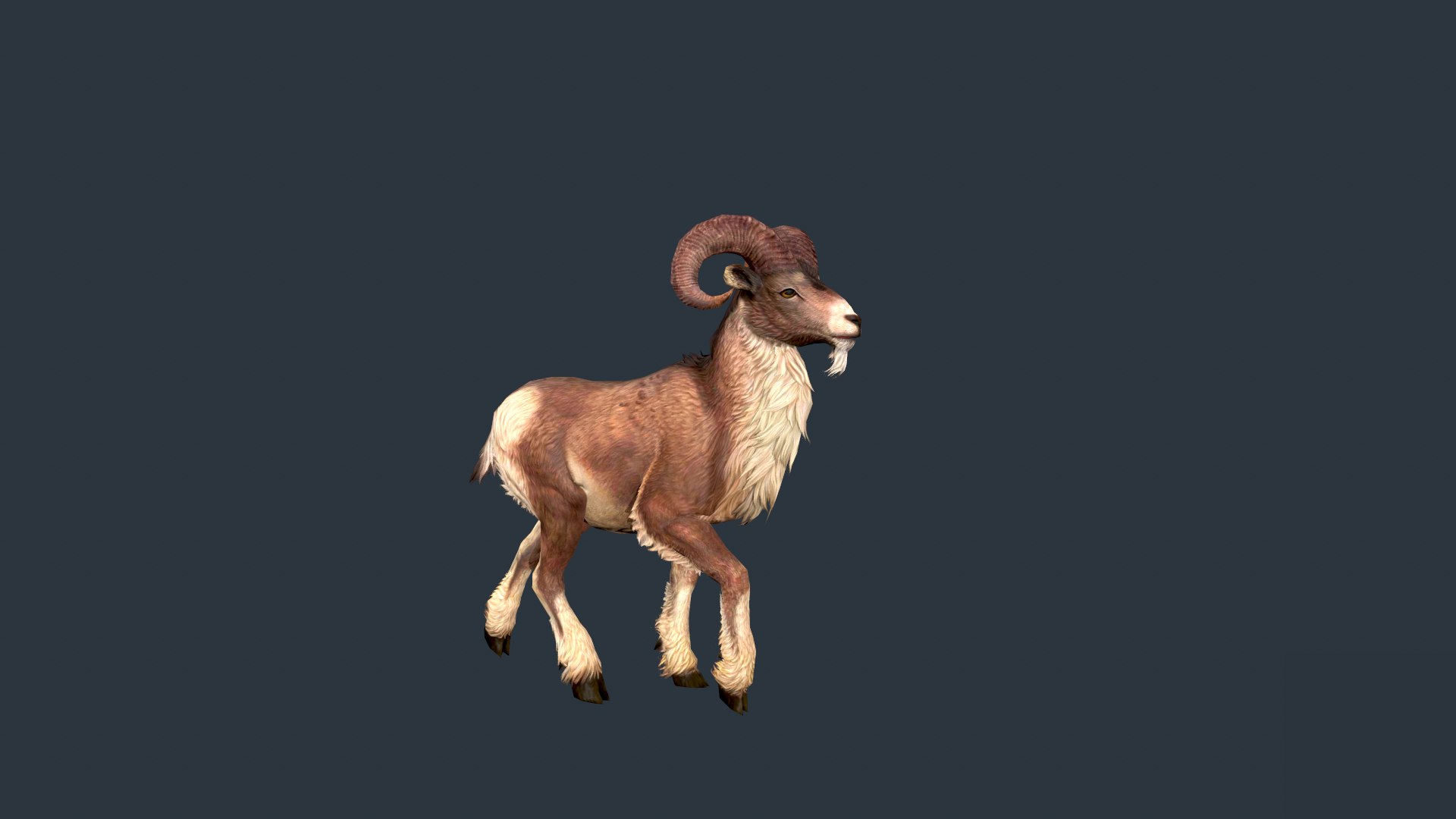 Realistic Goat Animation 3D Model - TurboSquid 1996469