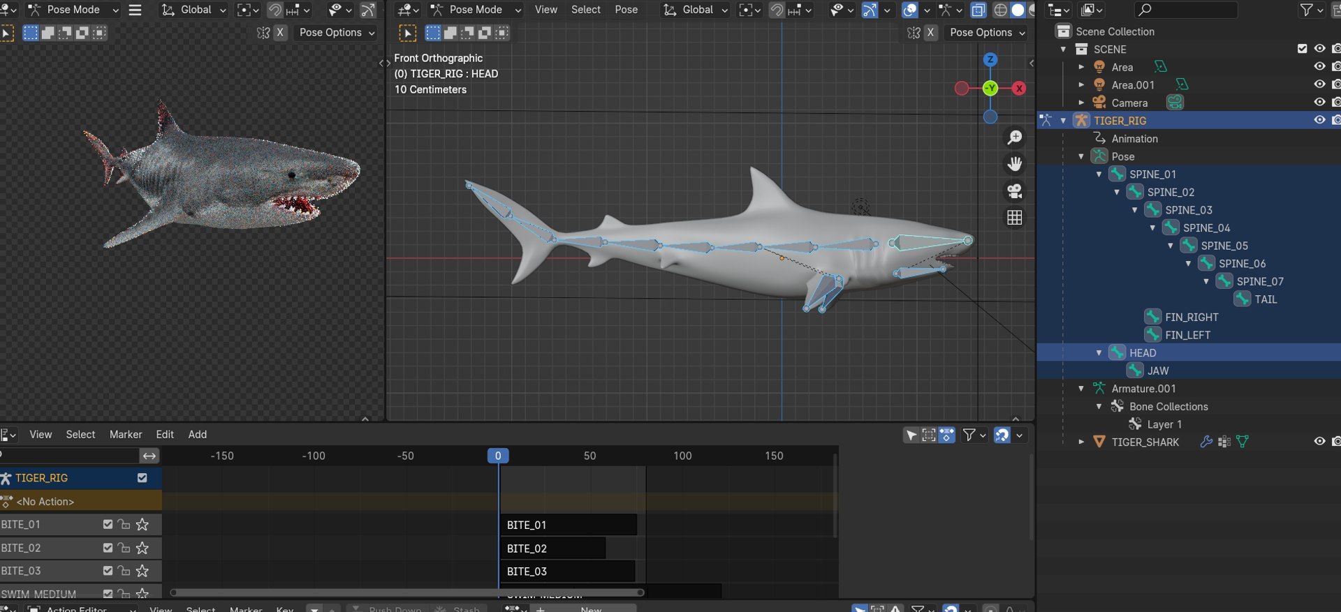 Animated Tiger Shark Model - TurboSquid 2181558