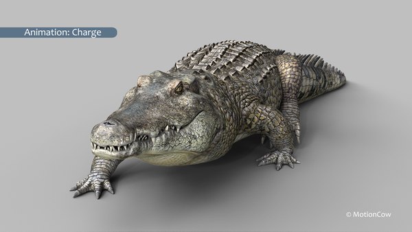 3D model realistic crocodile animating - TurboSquid 1441718