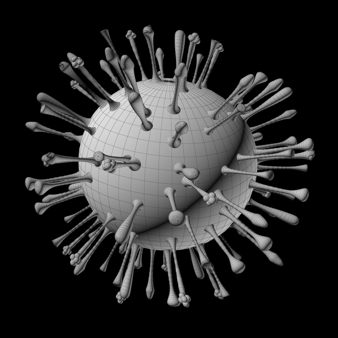 3d Model Zika Virus