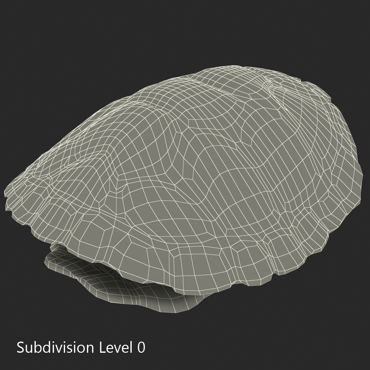 modelo 3d Caparazón de tortuga - TurboSquid 933588