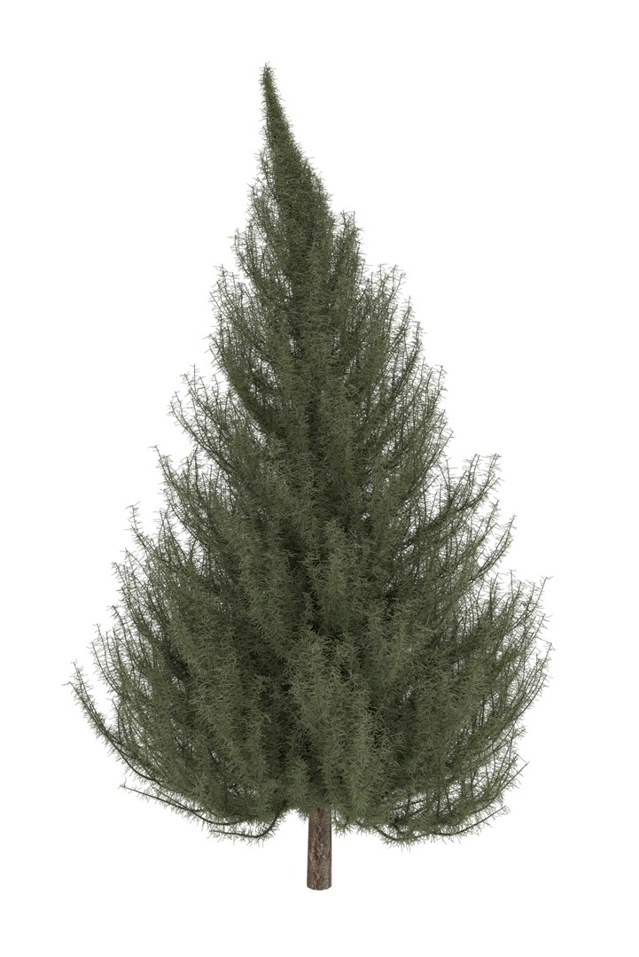 3D pine tree model - TurboSquid 1236154